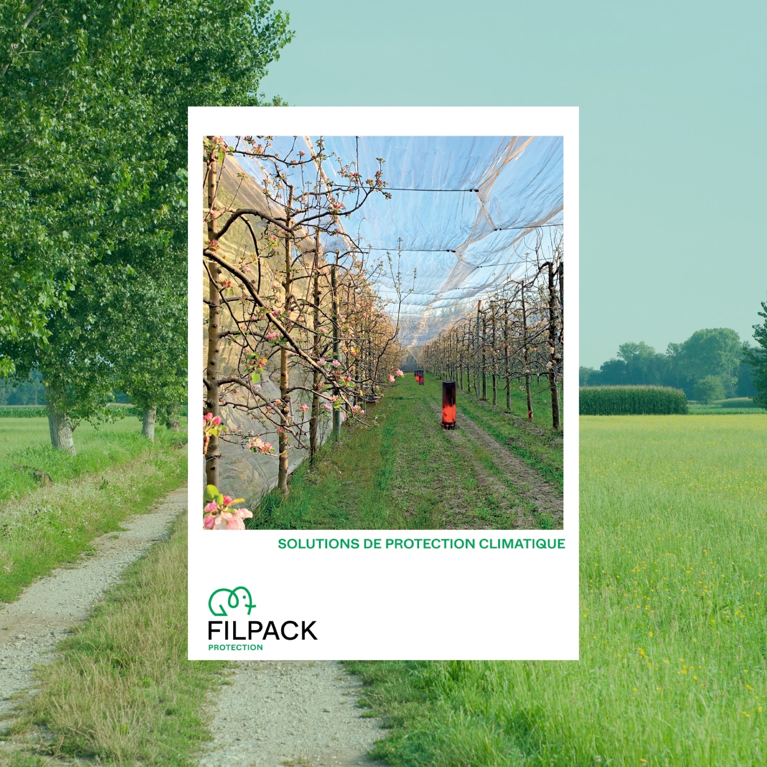 Catalogues - FILPACK